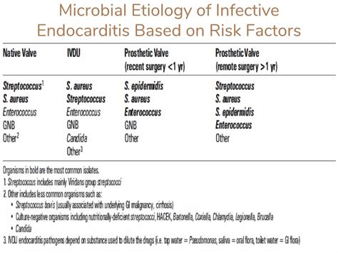 Ppt 7 Infective Endocarditis Powerpoint Presentation Free Download Id 11485072