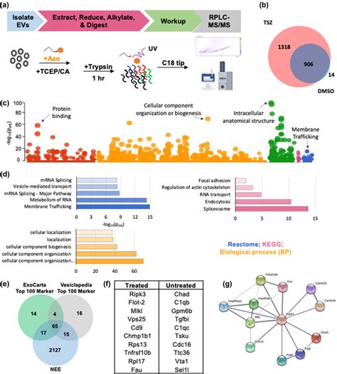 Mass Spectrometry MS Analysis Of NEEs A Schematic Representation Download Scientific