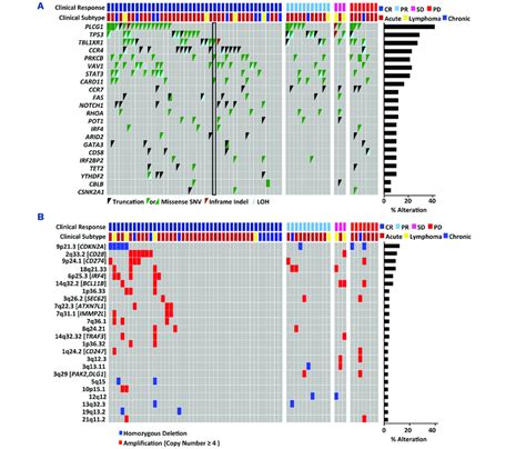 driver gene alterations in adult t cell leukemia lymphoma cells a