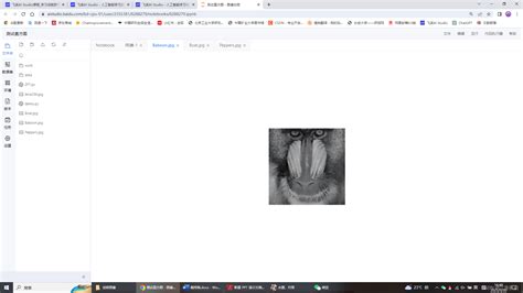 图像加密方法的设计与实现 csdn博客