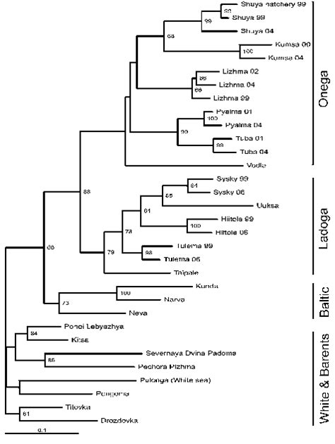 neighbour joining dendrogram based on d a genetic distances