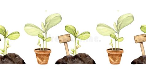 Seamless Border With Terracotta Pot And Green Sprouts Stock Image Illustration Of Composition
