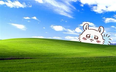 Momonga Desktop Wallpaper Macbook Wallpaper Graphic Design Fun