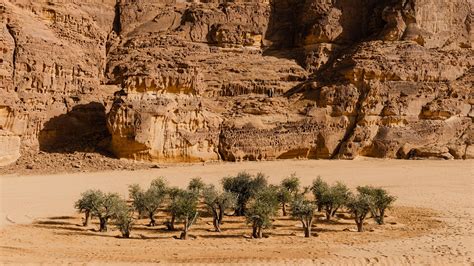 Grounding By Khalil Rabah From Desert X Alula 2022 谷德设计网