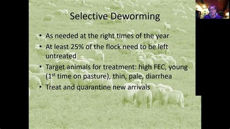 Small Ruminant Fecal Egg Counts Youtube