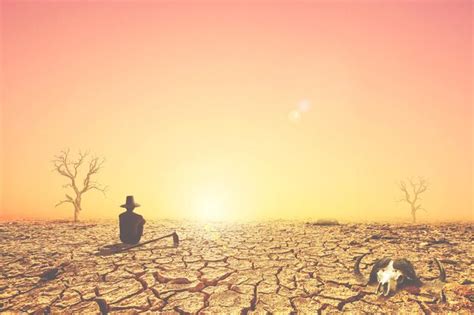 Premium Photo Trees Die From Drought Due To Global Warming And