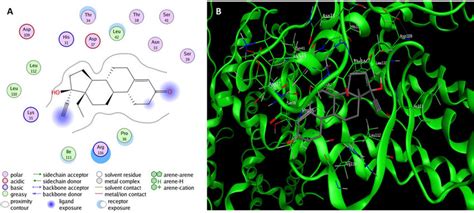 Predicted Binding Modes Of The Top Ranked Standard Drug To The Models