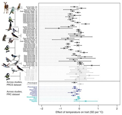 Ecological Dynamics Repositories