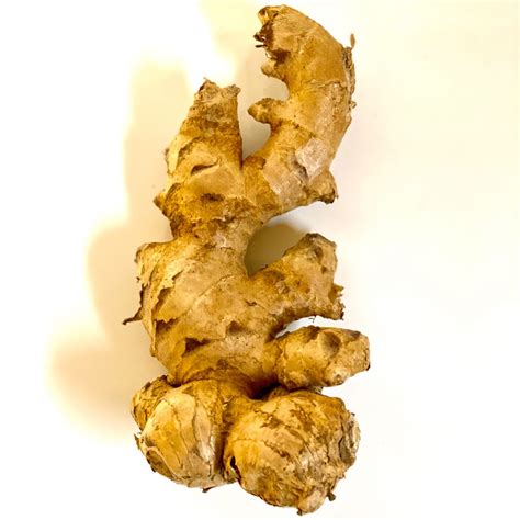 Ginger 1lb Teddy Bear Fresh Produce