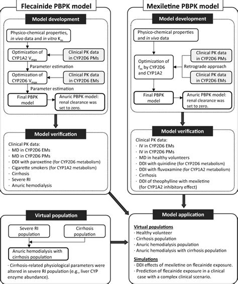 Schematic Overview On The Workflow Of The Development Verification