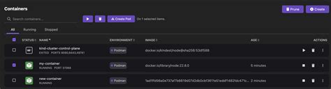 使用容器或 Docker 文件运行 Pod Podman Desktop Podman 桌面版