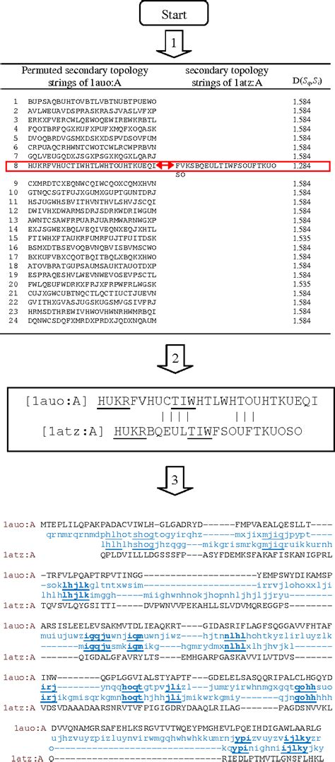 Figure 3 From Protein Structure Modeling In Two Level Topology Strings