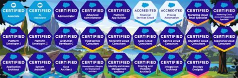 Salesforce Architect Iam Applicationarchitect Systemarchitect Sebastian Molinares 101