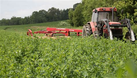 Time Hay Cutting By Ditching The Calendar Hay And Forage Magazine
