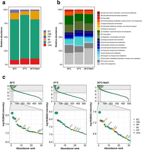 absolute quantification of proteins in native evs from leptospira
