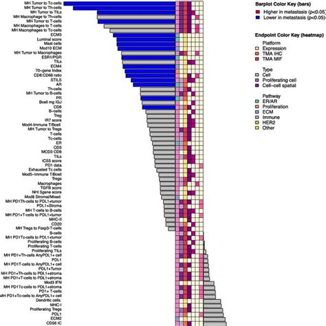 Her2 Expression Extracellular Matrix Signatures And Spatial