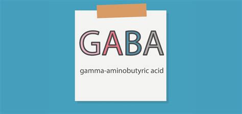 5 Things To Know About Gaba Gamma Aminobutyric Acid
