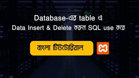 Database এর Table এ Data Insert And Delete করুন Sql Use করে Sql