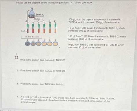 Solved Use The Diagram To Answer The Following Questions Chegg