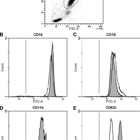 Flow Cytometric Analysis Of Expression Of Specific Surface Markers On