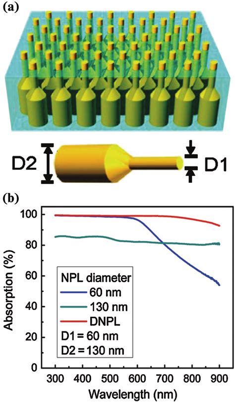 A Schematic Diagram Of The Dual Diameter Nanopillar Array Layer Download Scientific Diagram