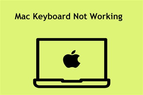 Mac Keyboard Not Working Simple Fixes For You To Try MiniTool