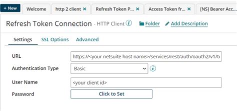 Article Using The Connector To Connect To Netsuite 20212 Using