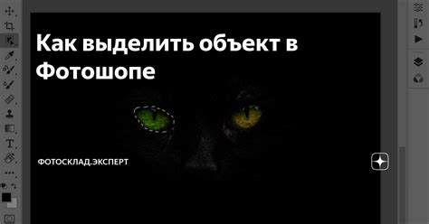 Как выделить объект в Фотошопе Фотосклад Эксперт Дзен