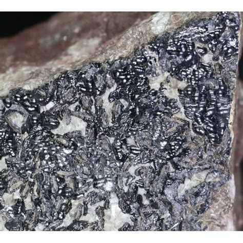 E Rocks Mineral Auctions