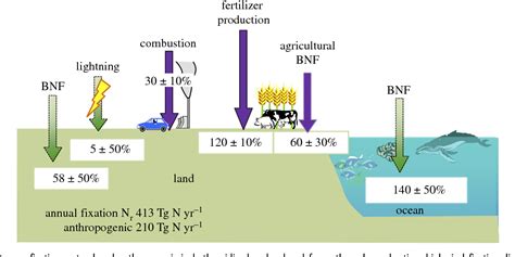 Nitrogen Fixation By Lightning