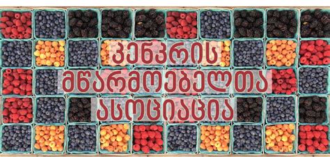 ჭკვიანი სათბური კარტოფილს თუ ახლადაღმოცენებულ ყვავილებს მოვაშორებთ უკეთესი მოსავლიანობა