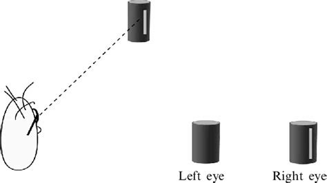Figure 1 From Depth From Binocular Half Occlusions In Stereoscopic