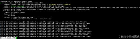 【linux 运维实战】手把手教你搭建 Bind Dns 域名解析服务器（含正向 反向解析实验） Rocky Linux 8 安装bind服务详细步骤 Csdn博客