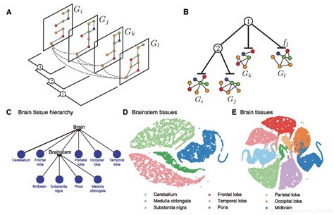 论文阅读笔记——representation Learning On Graphs：methods And Application