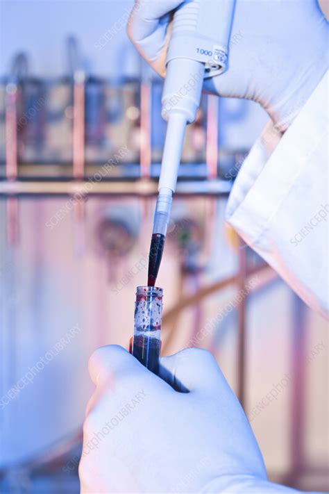 Scientist Pipetting A Sample In A Laboratory Stock Image F Science Photo Library