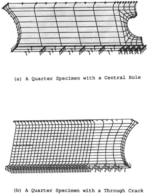 Examples Of Finite Element Models Used For The Biaxial Strip Specimens Download Scientific