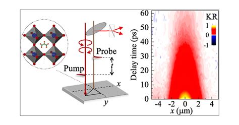 Fast Diffusion Of Spin Polarized Excitons In Organicinorganic Lead