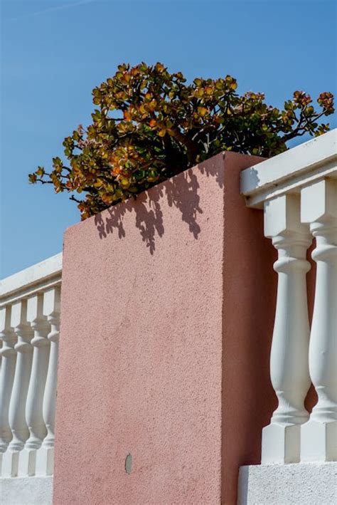 有关优美的风景 修剪 光與影 园林设计 围栏 園林植物 垂直结构 城市自然 墙纹理 外观 工厂 市景 建筑摄影 建筑