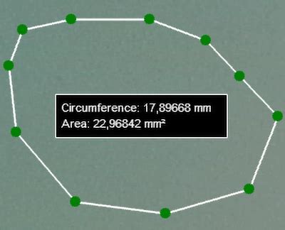 IC Capture Image Acquisition Software For Windows