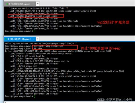 搭建keepalivednginx热备高可用主备双主模式nginx主备模式配置 Csdn博客
