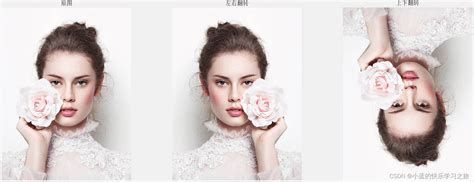 数字图像处理大作业实验报告 Csdn博客