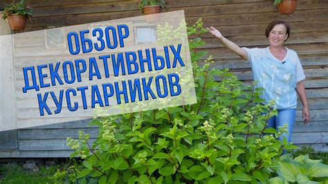 Сорта сирени: 20 фото с описанием