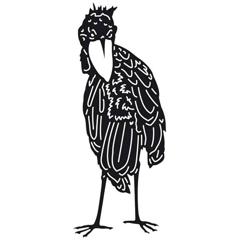 Shoebill Birds 03 Dxfforcnc