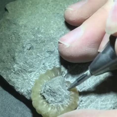 Tiktok · Pietro Kopiewski