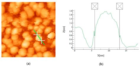 Nanoparticle Recognition On Scanning Probe Microscopy Images Using Computer Vision And Deep Learning