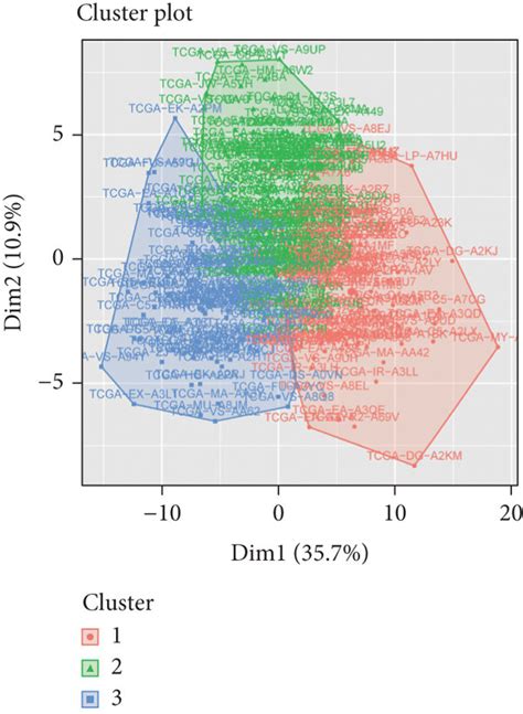 Identification Of Clinically Relevant Subtypes Of Cervical Cancer In