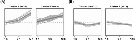 K Means Clustering Of The Gene Expression Data Cluster Analysis Of