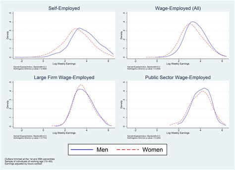 Why Self Employed Women Earn Less Building A Search Match Model With