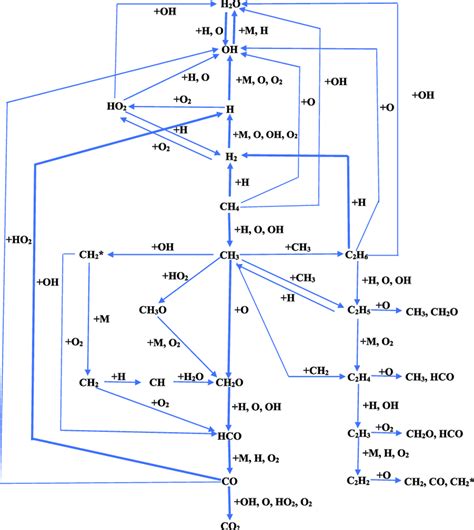 Self Promoting Microcirculation Reaction Network Of The Multicomponent