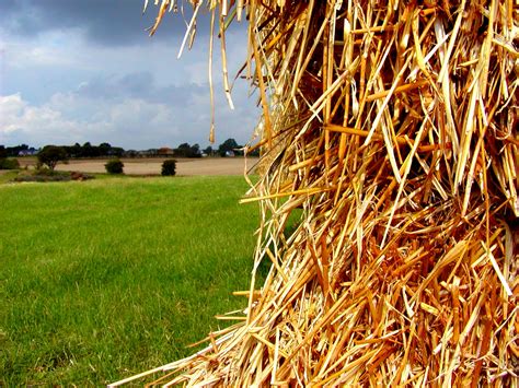 Продукция - Поставщик сельскохозяйственной продукции